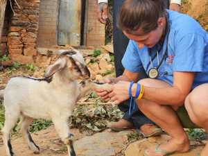 Worldwide Veterinary Service // WVS