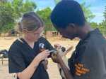 Worldwide Veterinary Service // WVS